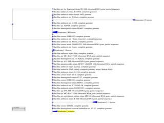 Molecular Identification.pptx | Free Download