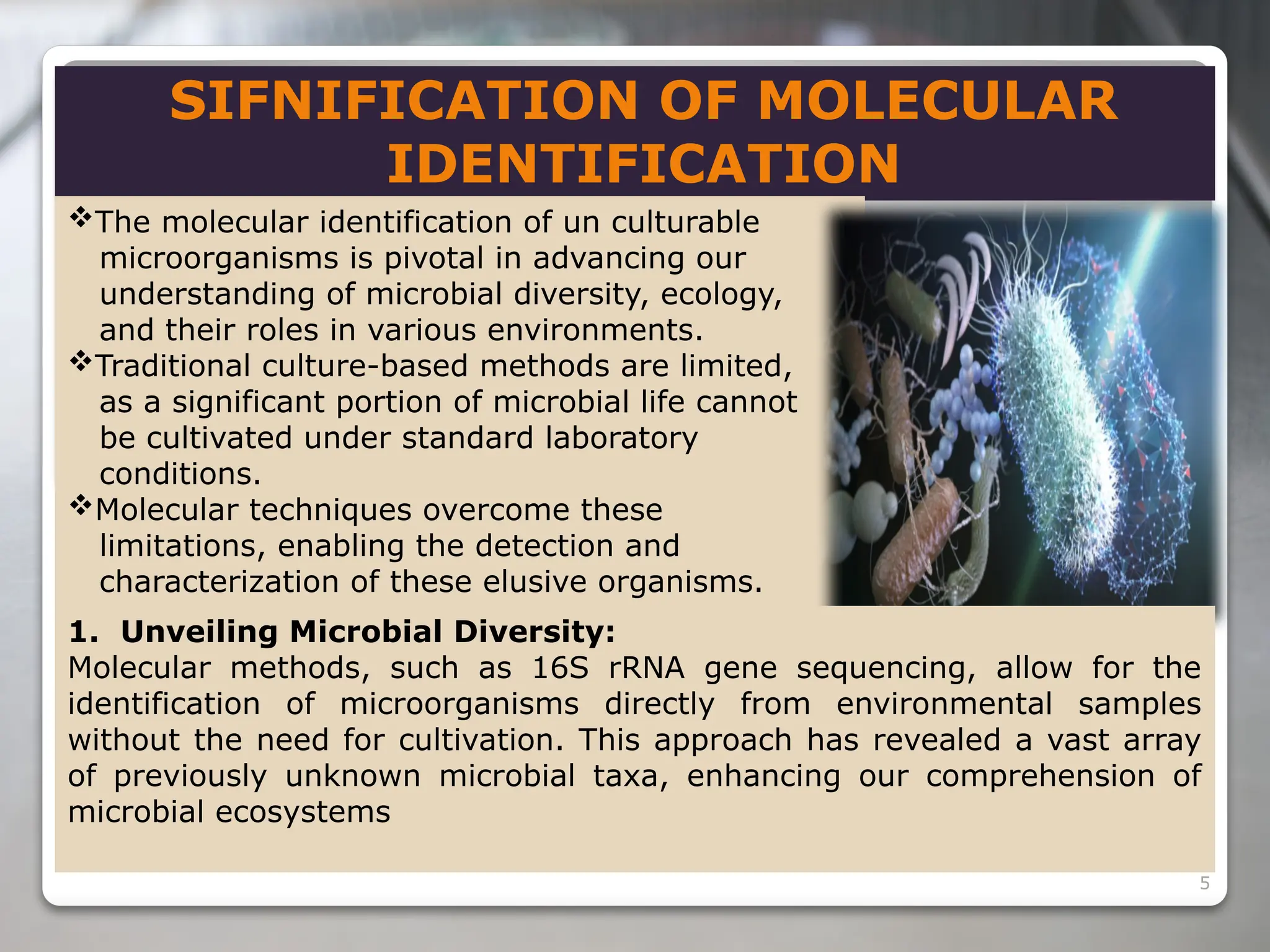 MOLECULAR IDENTIFICATION OF UNCULTURED MICROORGANISM | PPTX