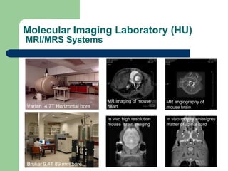 Molecular Imaging | PPT