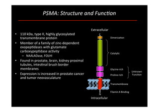 Molecular imaging and therapy in prostate cancer | PPT