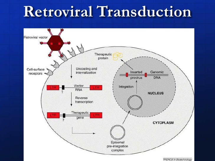 Molecular Imaging