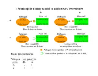 Molecular interaction | PDF