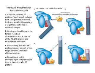 Molecular interaction | PDF