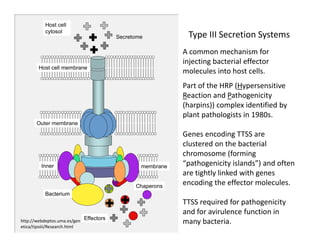 Molecular interaction | PDF