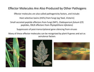 Molecular interaction | PDF
