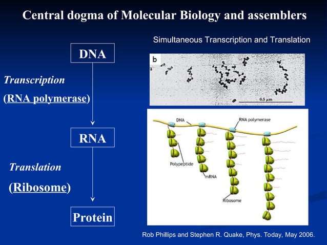 Molecular Machines-Motors for cell biology .ppt