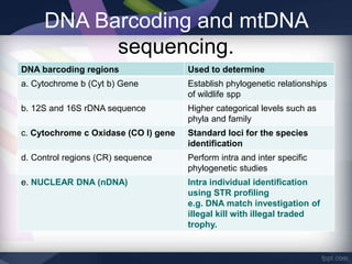 Molecular marker (DNA and Protein Profiling ) in Wildlife | PPT