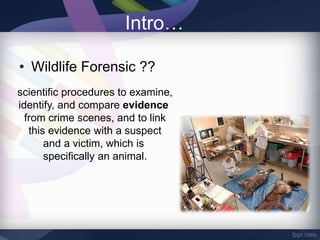 Molecular marker (DNA and Protein Profiling ) in Wildlife | PPT