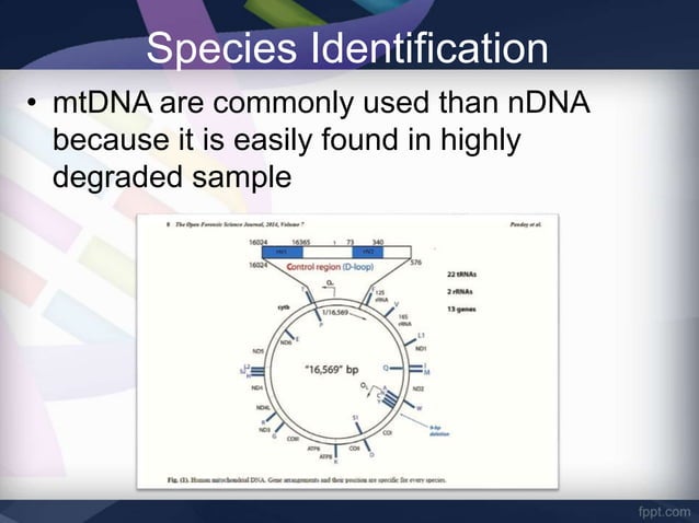 Molecular marker (DNA and Protein Profiling ) in Wildlife | PPT