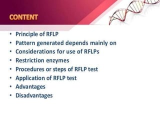 Molecular marker rflp | PPTX