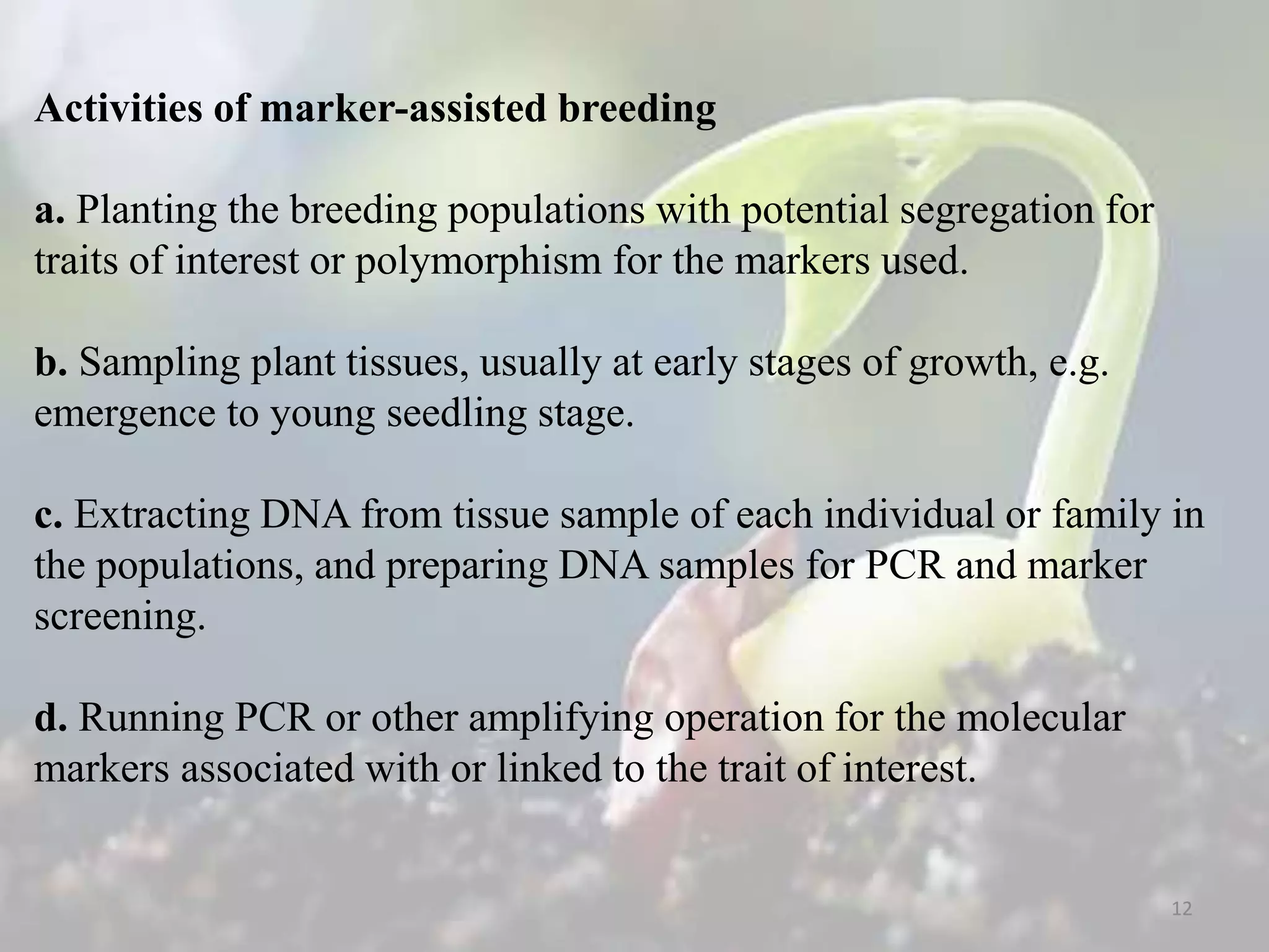 MOLECULAR MARKER AIDED BREEDING.pptx