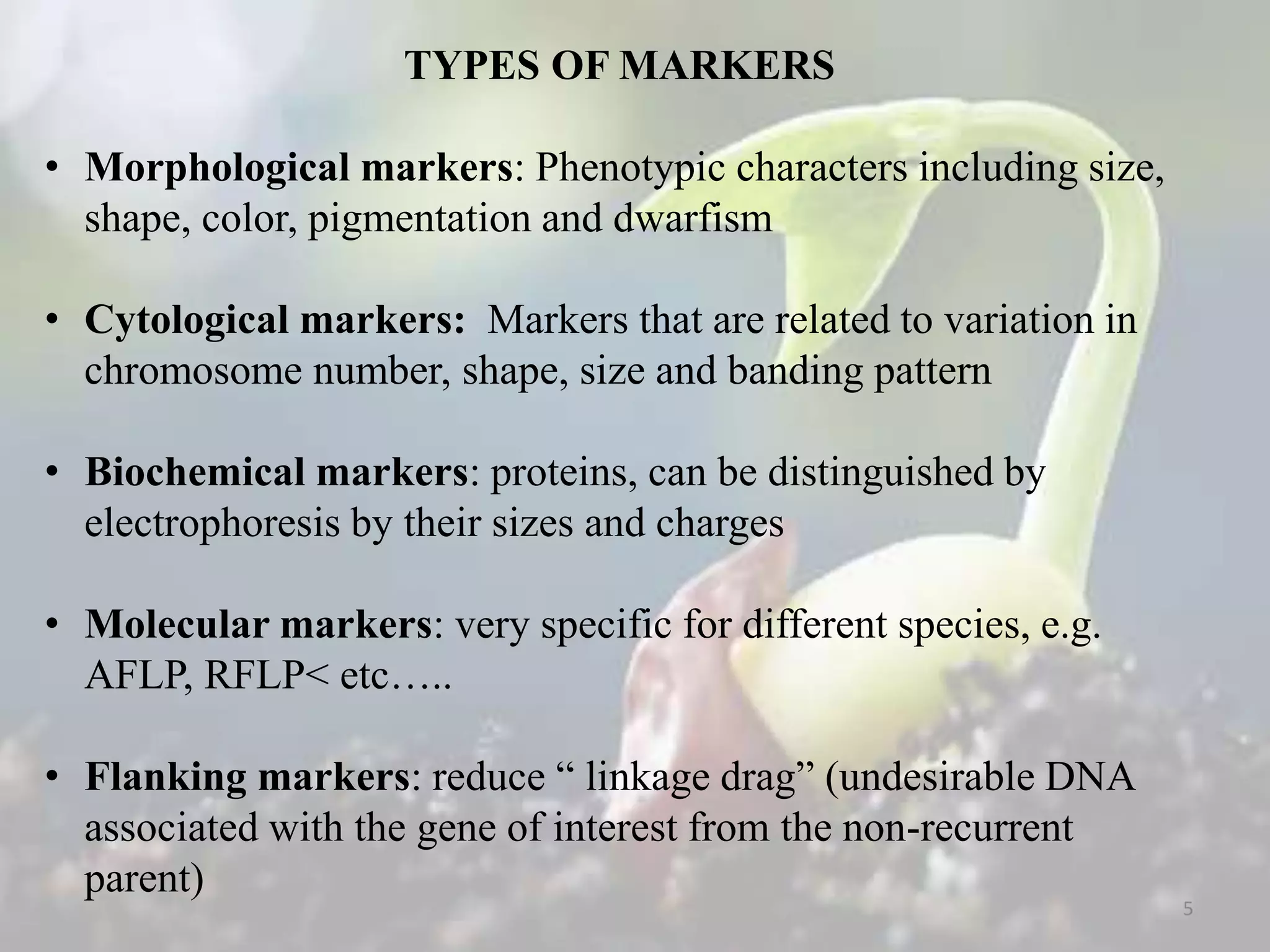 MOLECULAR MARKER AIDED BREEDING.pptx