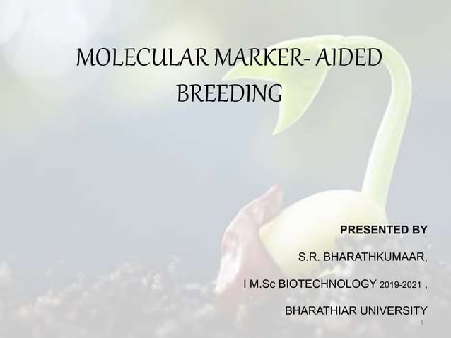MOLECULAR MARKER AIDED BREEDING.pptx | Genetics | Science