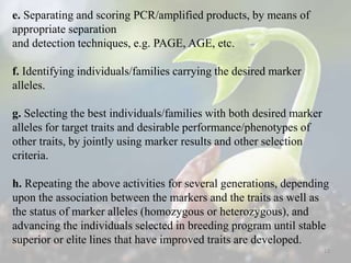 MOLECULAR MARKER AIDED BREEDING.pptx
