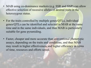 MOLECULAR MARKER AIDED BREEDING.pptx