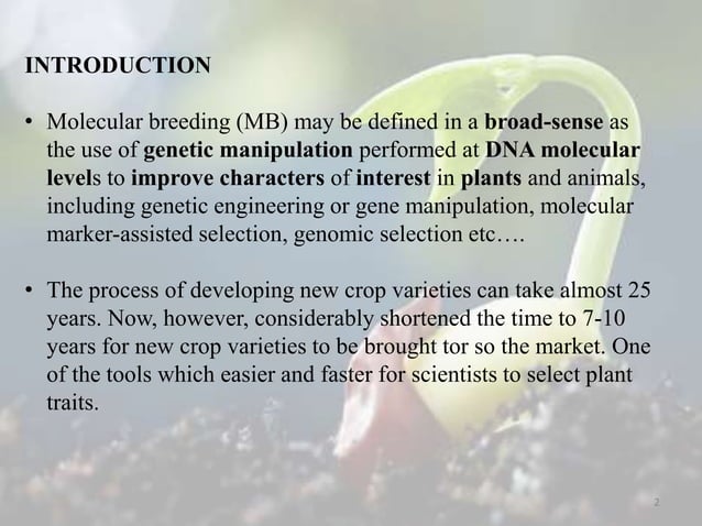 MOLECULAR MARKER AIDED BREEDING.pptx | Genetics | Science