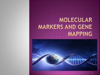 Molecular marker and gene mapping | PPTX