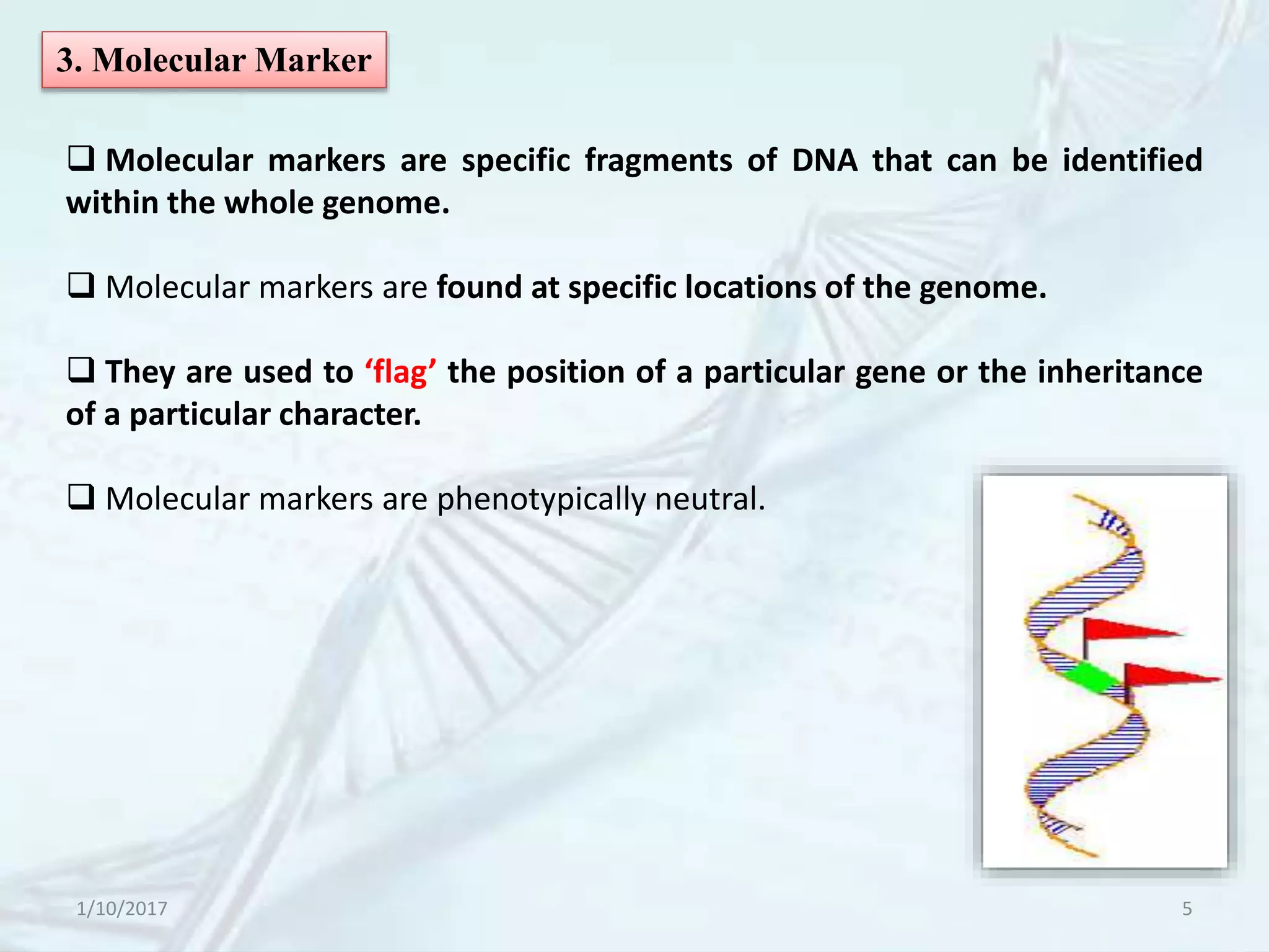 Molecular Marker and It's Applications | PPTX
