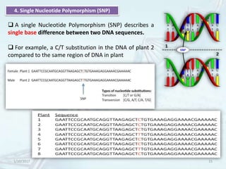 Molecular Marker and It's Applications | PPTX