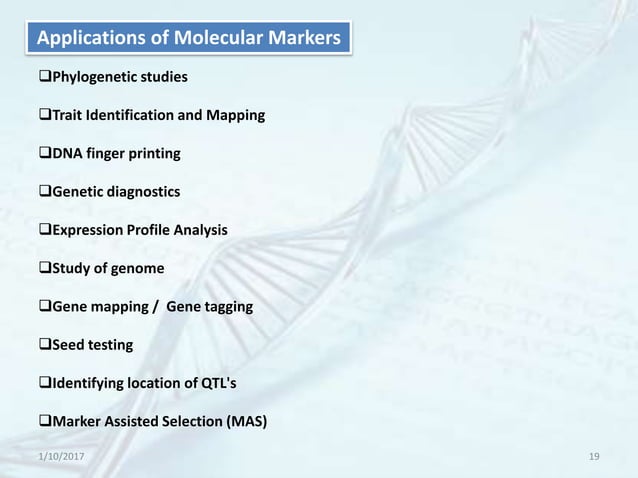 Molecular Marker and It's Applications | PPTX | Genetics | Science