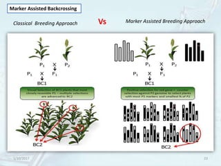 Molecular Marker and It's Applications | PPTX