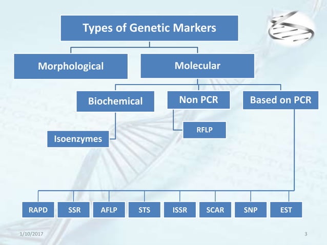 Molecular Marker and It's Applications | PPT