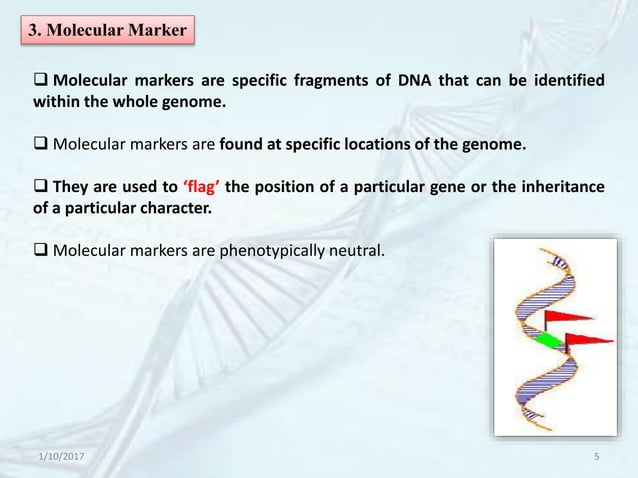 Molecular Marker and It's Applications | PPTX | Genetics | Science