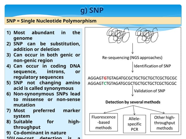 Molecular marker Description different types and application | PPT
