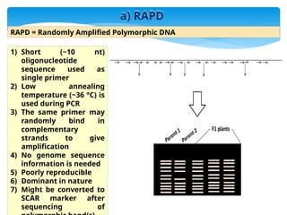 Molecular marker Description different types and application | PPT