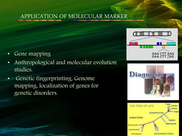 Molecular marker General introduction by K. K. SAHU Sir. | PPT