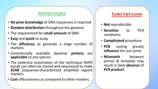 Molecular markers- RFLP, RAPD, AFLP, SNP etc. | PPTX