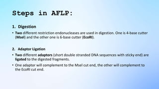 Molecular markers- RFLP, RAPD, AFLP, SNP etc. | PPTX