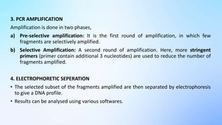 Molecular markers- RFLP, RAPD, AFLP, SNP etc. | PPTX