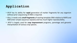 Molecular markers- RFLP, RAPD, AFLP, SNP etc. | PPTX