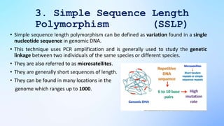 Molecular markers- RFLP, RAPD, AFLP, SNP etc. | PPTX