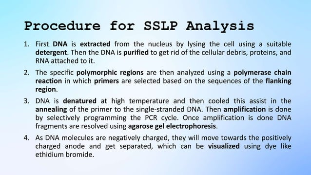 Molecular markers- RFLP, RAPD, AFLP, SNP etc. | PPTX