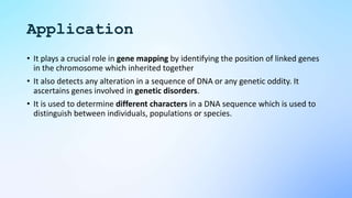 Molecular markers- RFLP, RAPD, AFLP, SNP etc. | PPTX