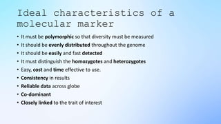 Molecular markers- RFLP, RAPD, AFLP, SNP etc. | PPTX