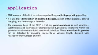 Molecular markers- RFLP, RAPD, AFLP, SNP etc. | PPTX