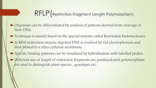 Molecular markers | PPTX
