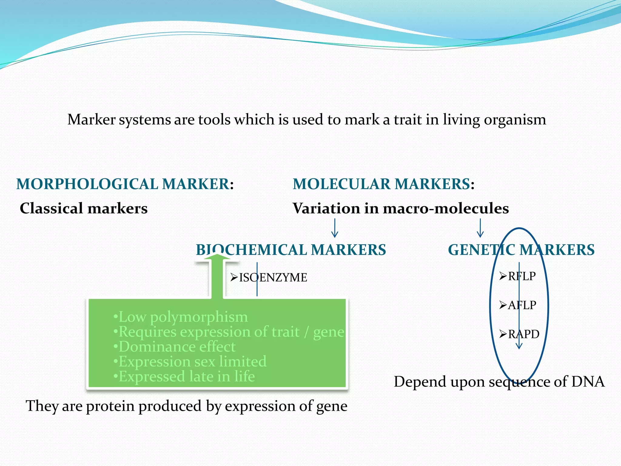 Molecular markers | PPTX