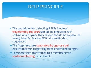 Molecular markers | PPTX