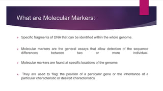 Molecular markers | PPTX