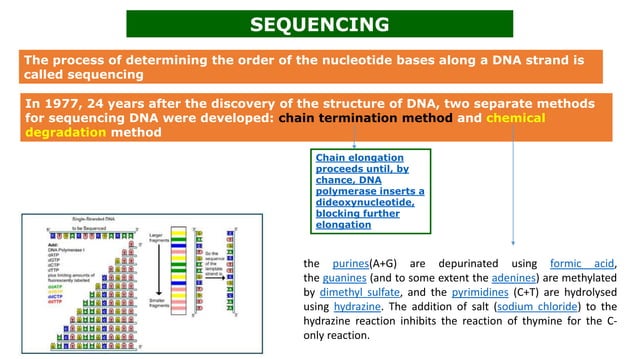 Molecular markers: Outlook | PPTX