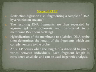 Nucleic acid and Molecular markers | PPTX
