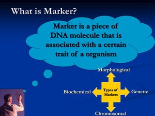 Molecular markers.ppt