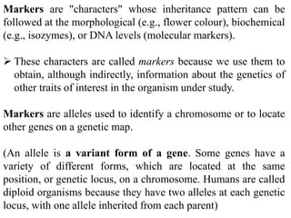 Molecular Markers.pptx