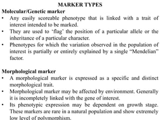 Molecular Markers.pptx