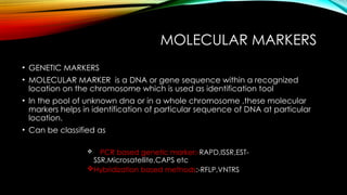 Molecular markers1.. pptx | PPTX