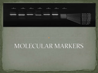 MOLECULAR MARKER | PPTX